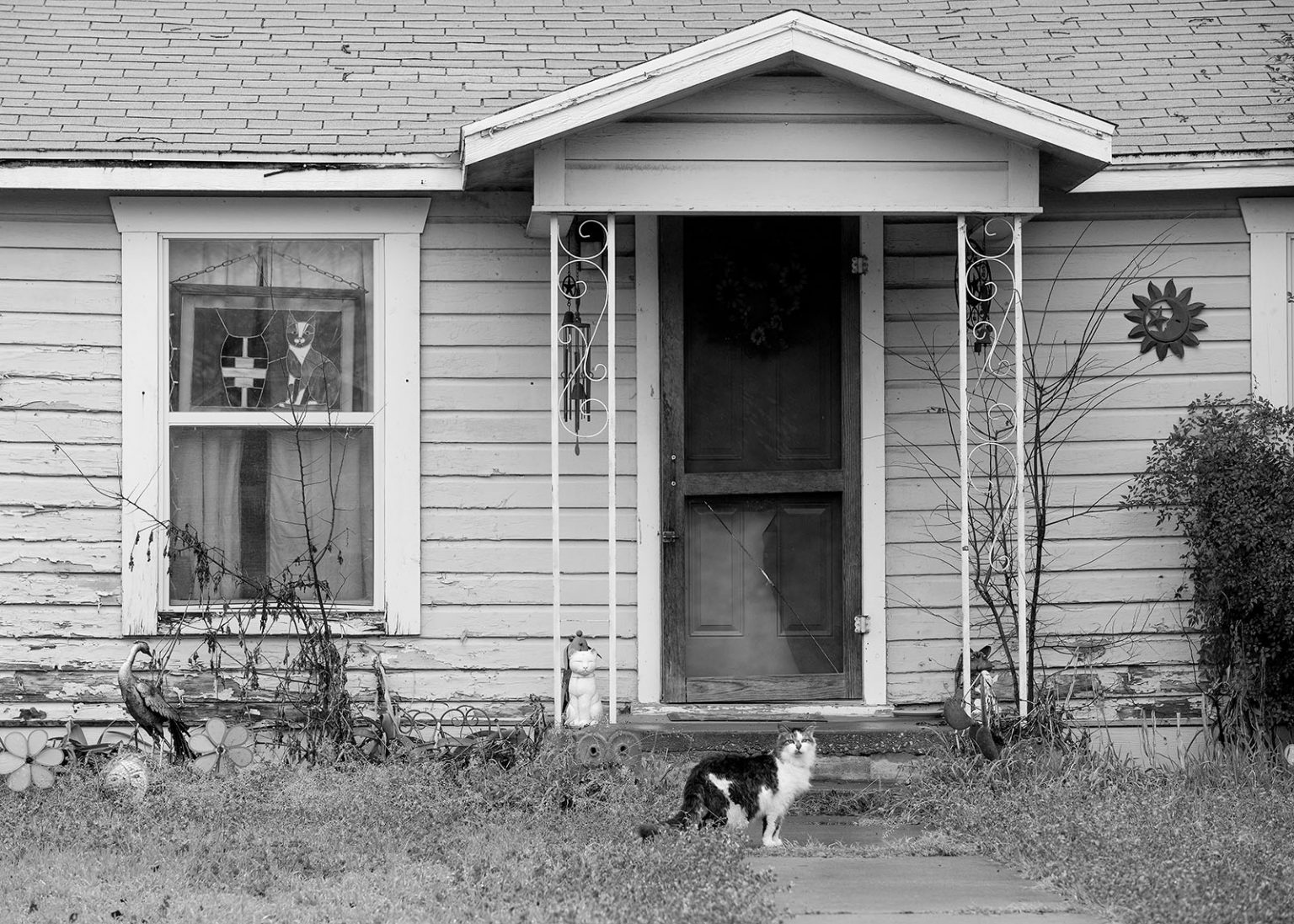 american front porch - cort anderson